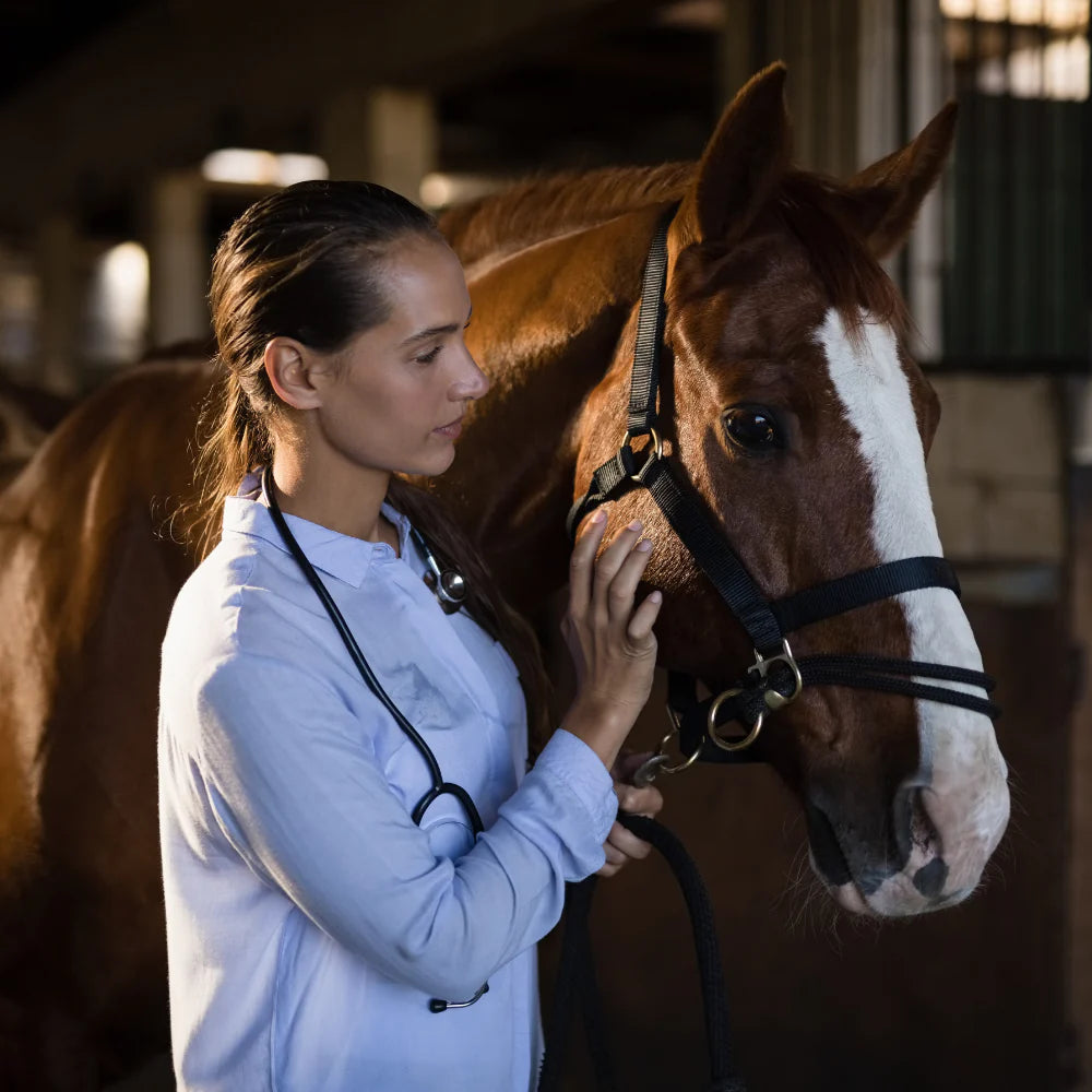 Veterinary & Care Products – Equine Specialized