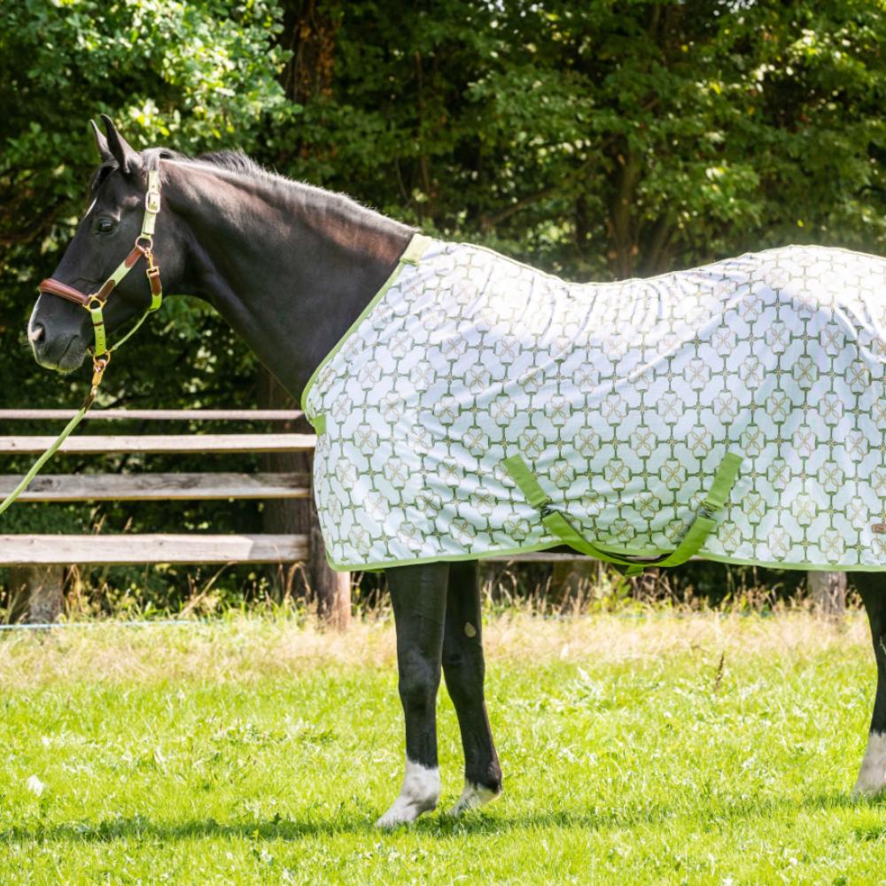 Fly Rugs – Equine Specialized