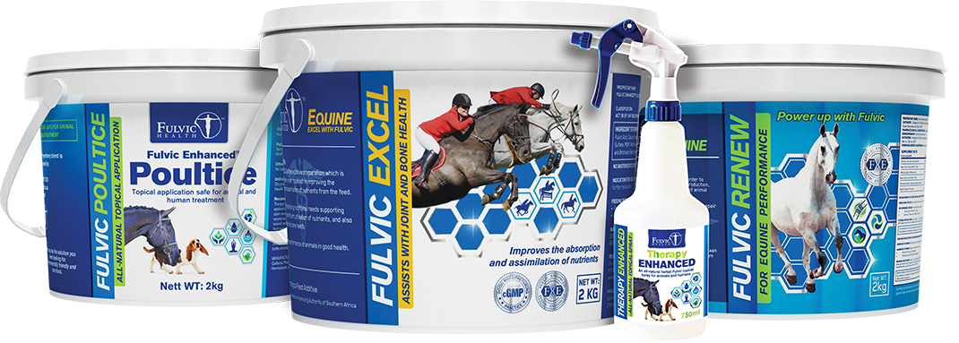 Horse Care – Equine Specialized