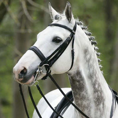 Stubben Leitrim Double Bridle~Special Dressage Noseband French – Equine ...
